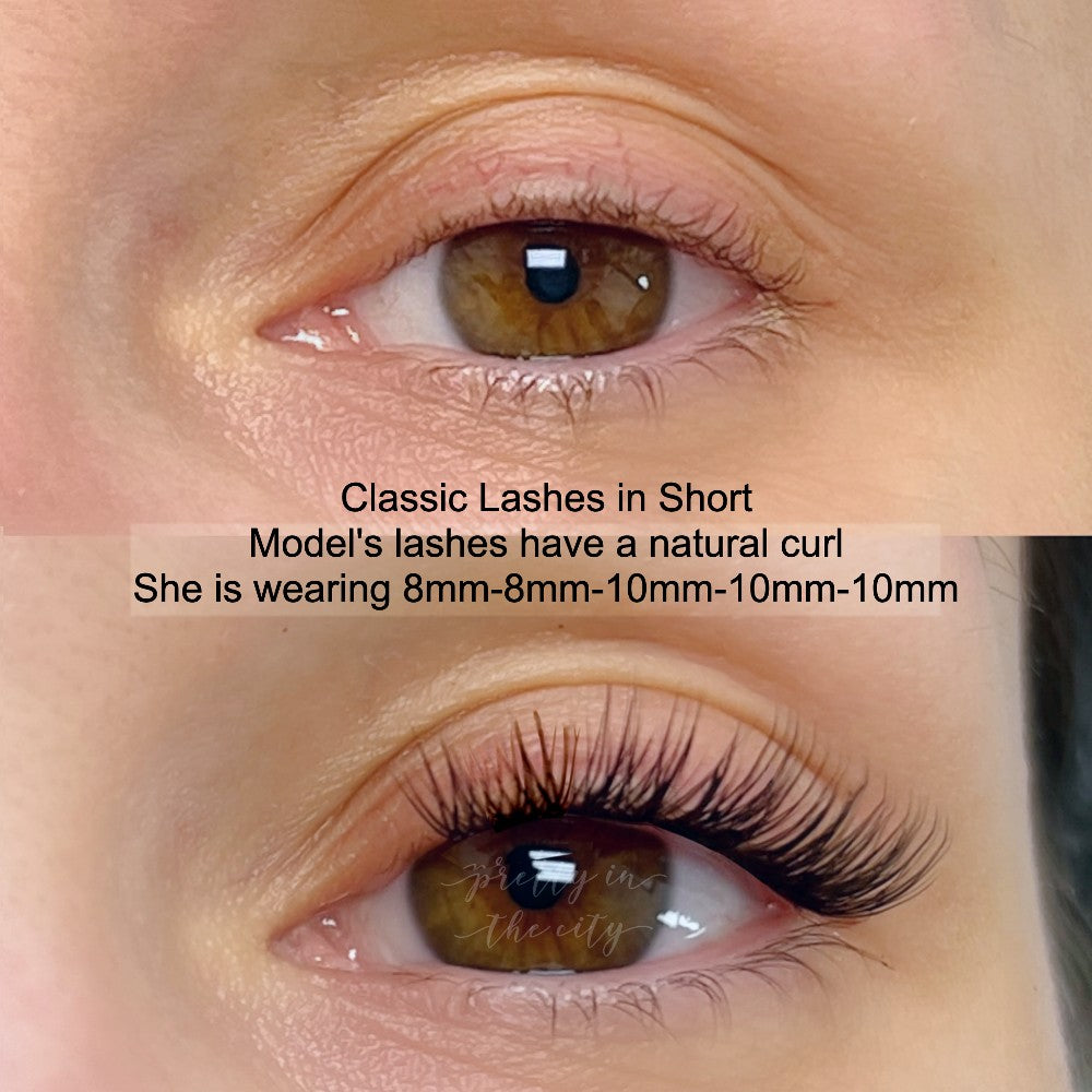 CLASSIC Lash Clusters - Individual Sizes – Pretty In The City Beauty